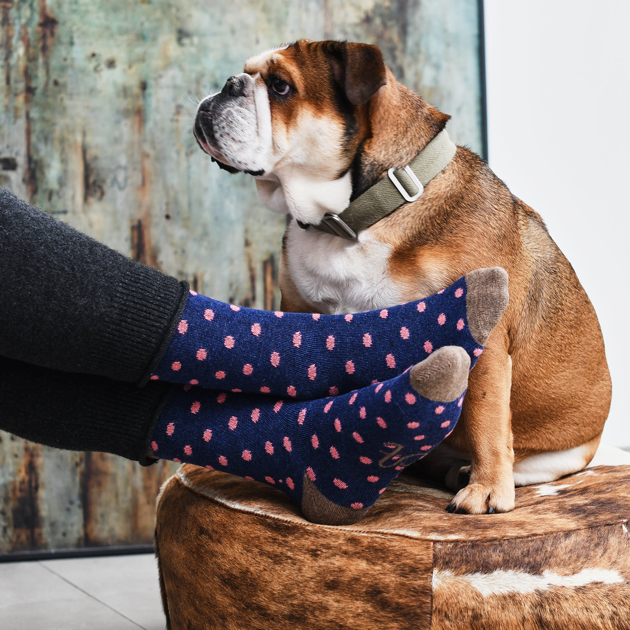 Men's Navy & Pink Spot Lambswool Ankle Socks – Catherine Tough